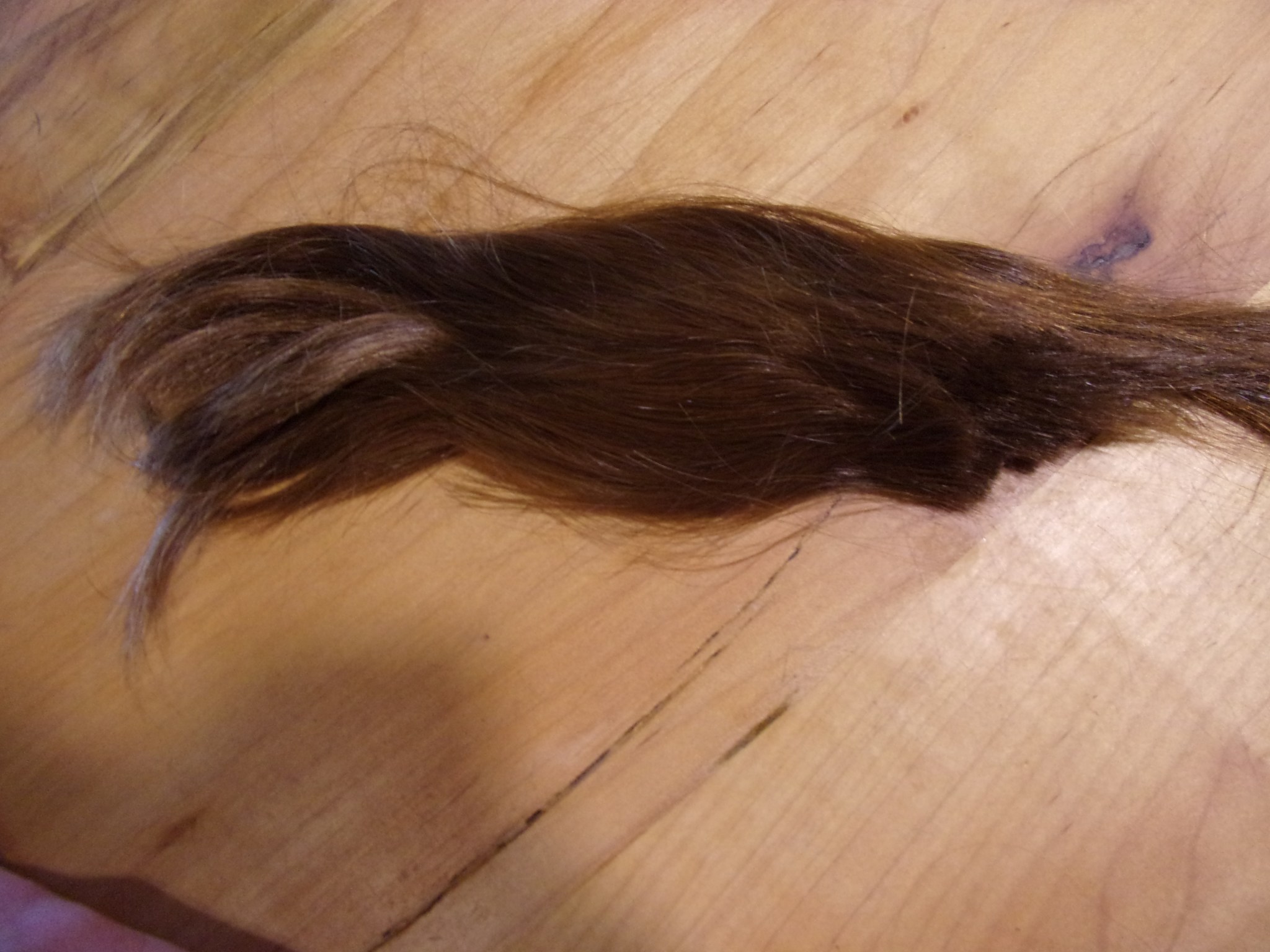 How to make a Hair Rat; The Old and The New Way! – Girl of a different Era